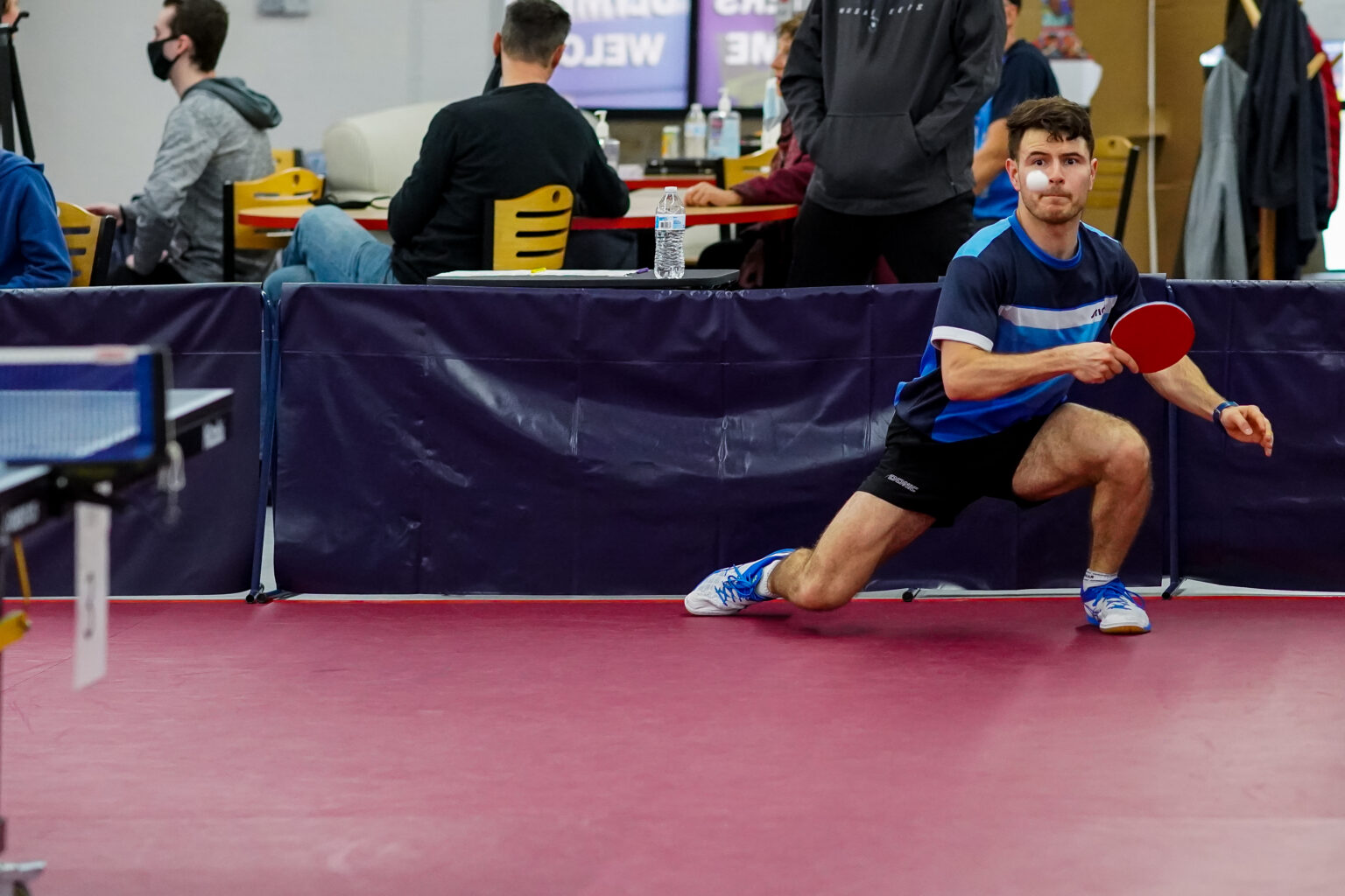 Home - Paddle Palace Blog