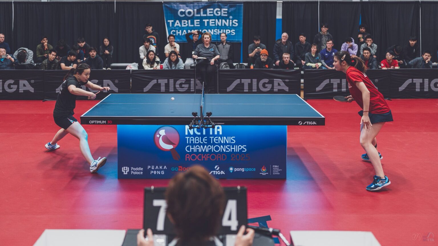 Home - Paddle Palace Blog